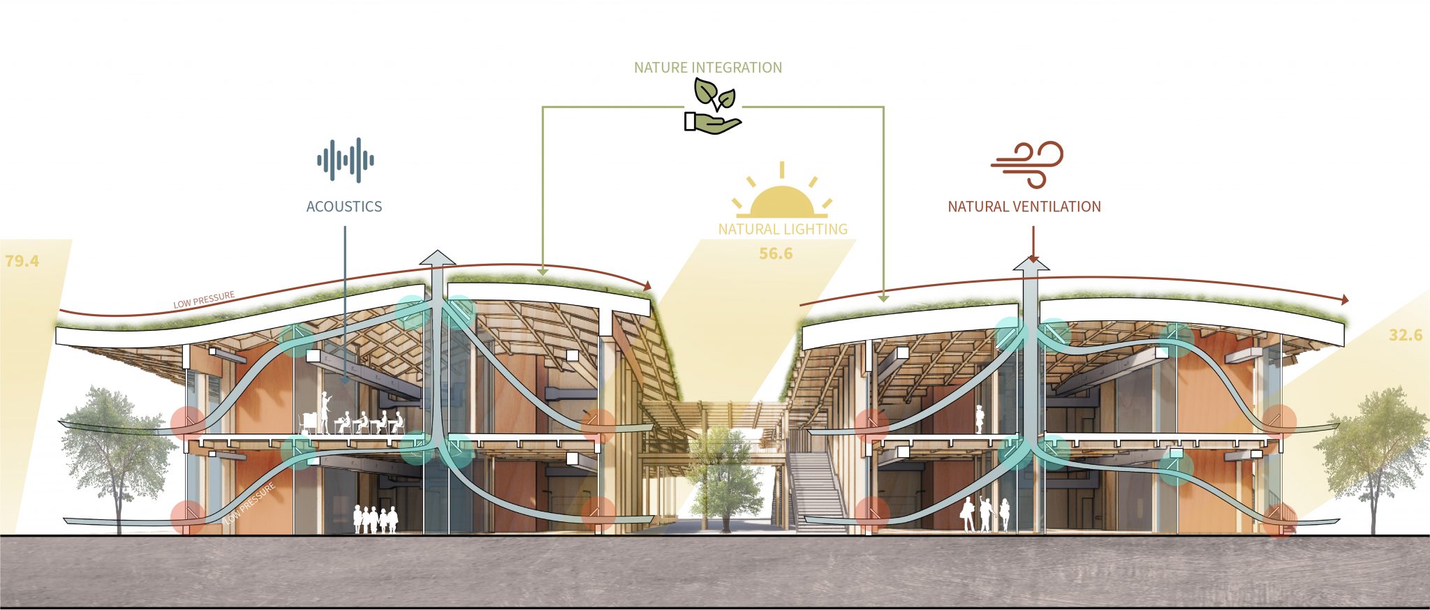 Architecture Program – College of Architecture, Visual Arts & Design